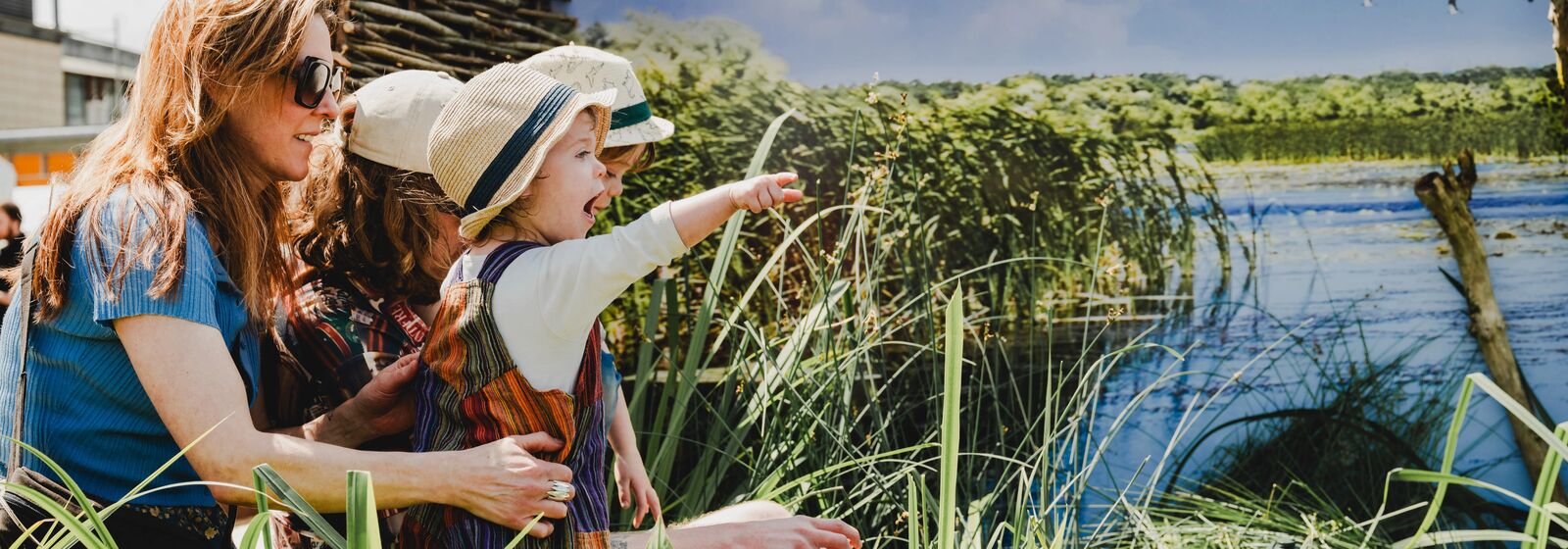 Trees take the spotlight in Festival of Nature 2026 programme