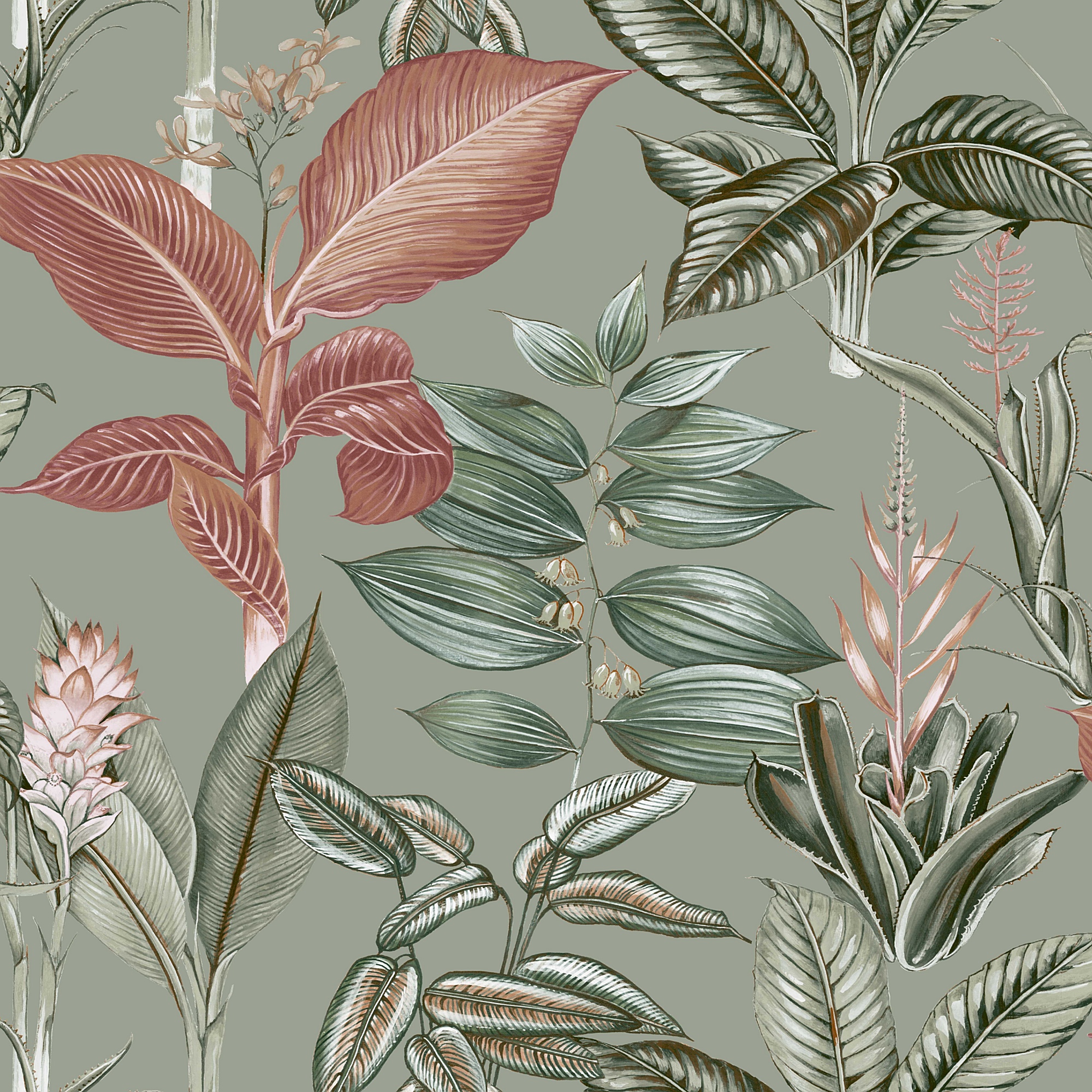 Hoopla Walls Animal Kingdom - Lush Forest 10m | Rackhams