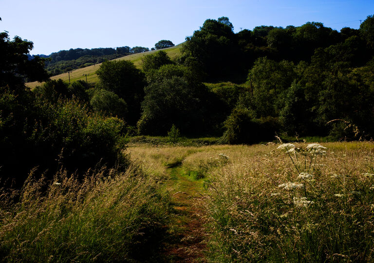 Nature recovery projects - West of England Combined Authority